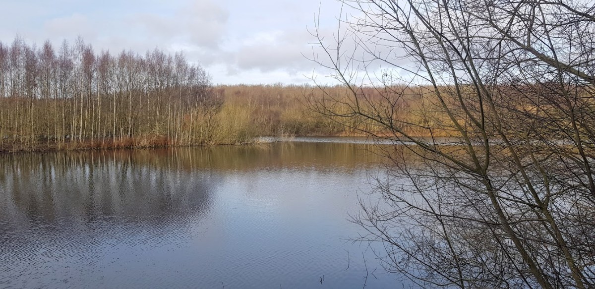 Bridgewater Way & Moore Nature Reserve – Joe the Cocker's Hikes
