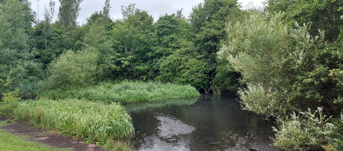 A Runcorn walk – Meandering and Mysteries – Joe the Cocker's Hikes