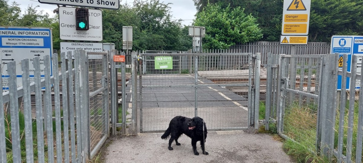 Rural Runcorn – Joe the Cocker's Hikes