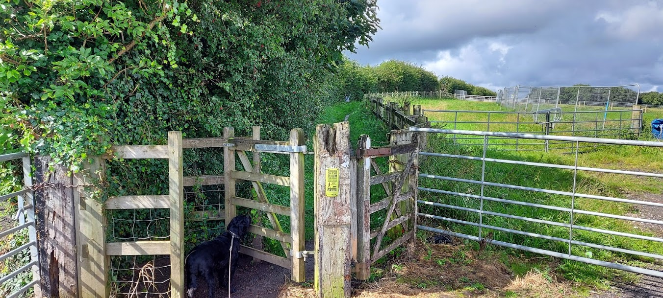 Billinge Hill and Crank Caverns – Joe the Cocker's Hikes