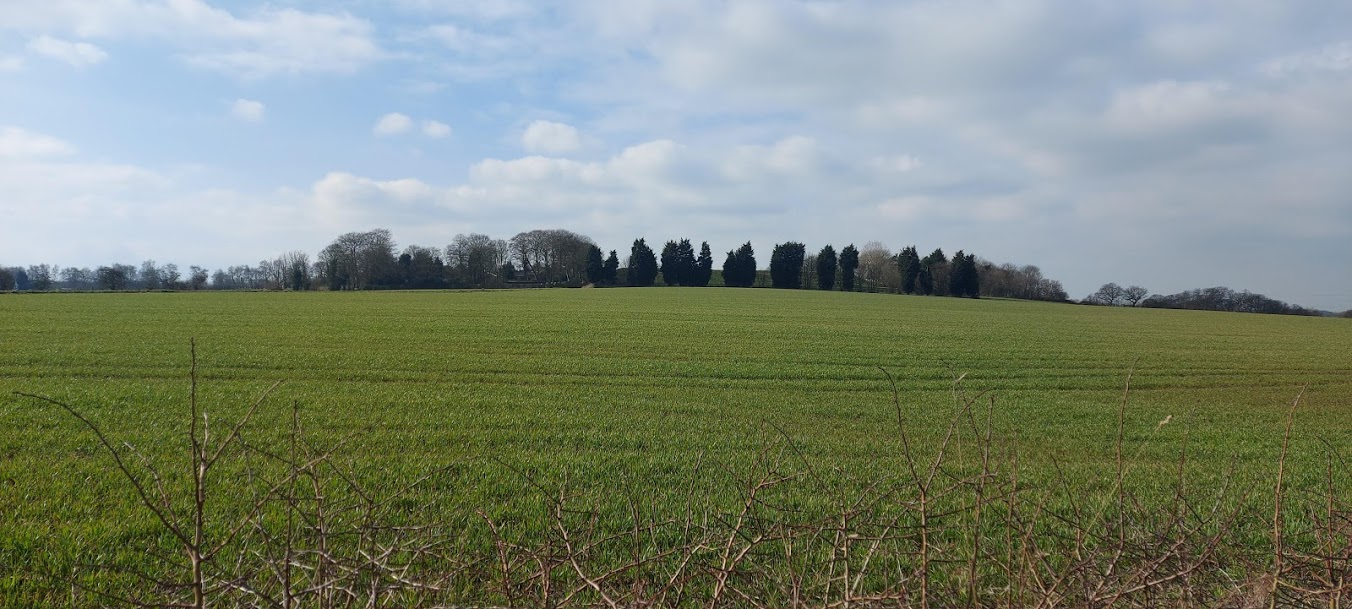 Pex Hill loop – Joe the Cocker's Hikes