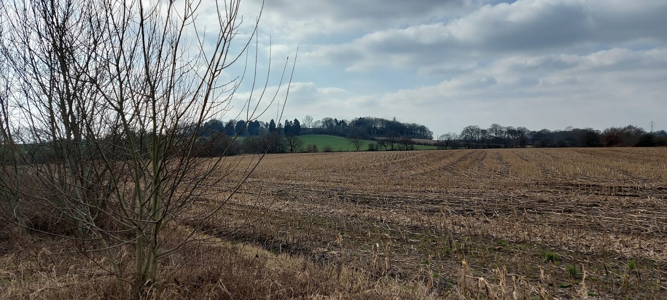 Pex Hill loop – Joe the Cocker's Hikes