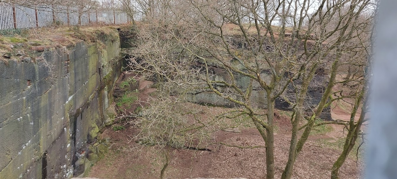 Pex Hill loop – Joe the Cocker's Hikes