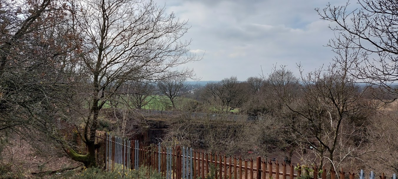 Pex Hill loop – Joe the Cocker's Hikes