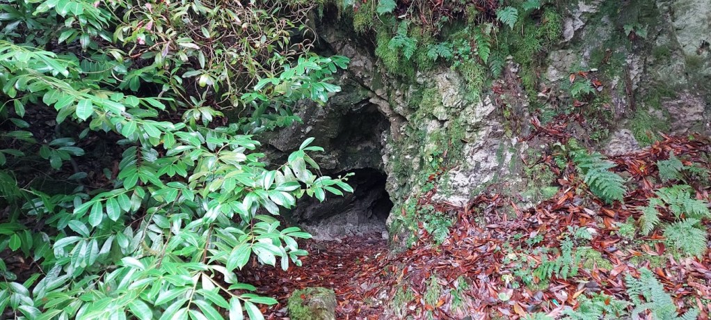 Nant-y-Ffrith waterfall – Joe the Cocker's Hikes