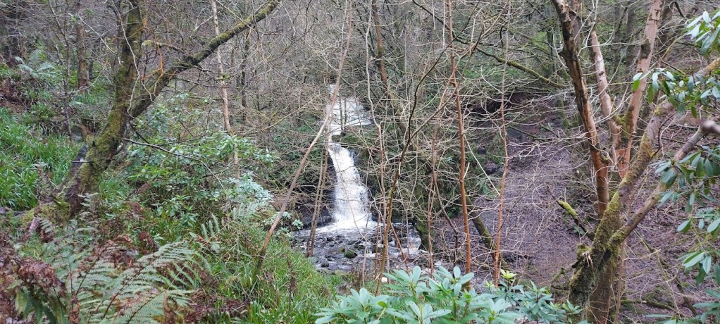 Nant-y-Ffrith waterfall – Joe the Cocker's Hikes