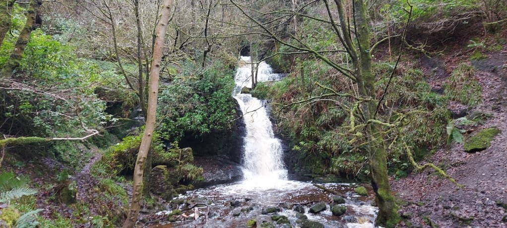 Nant-y-Ffrith waterfall – Joe the Cocker's Hikes