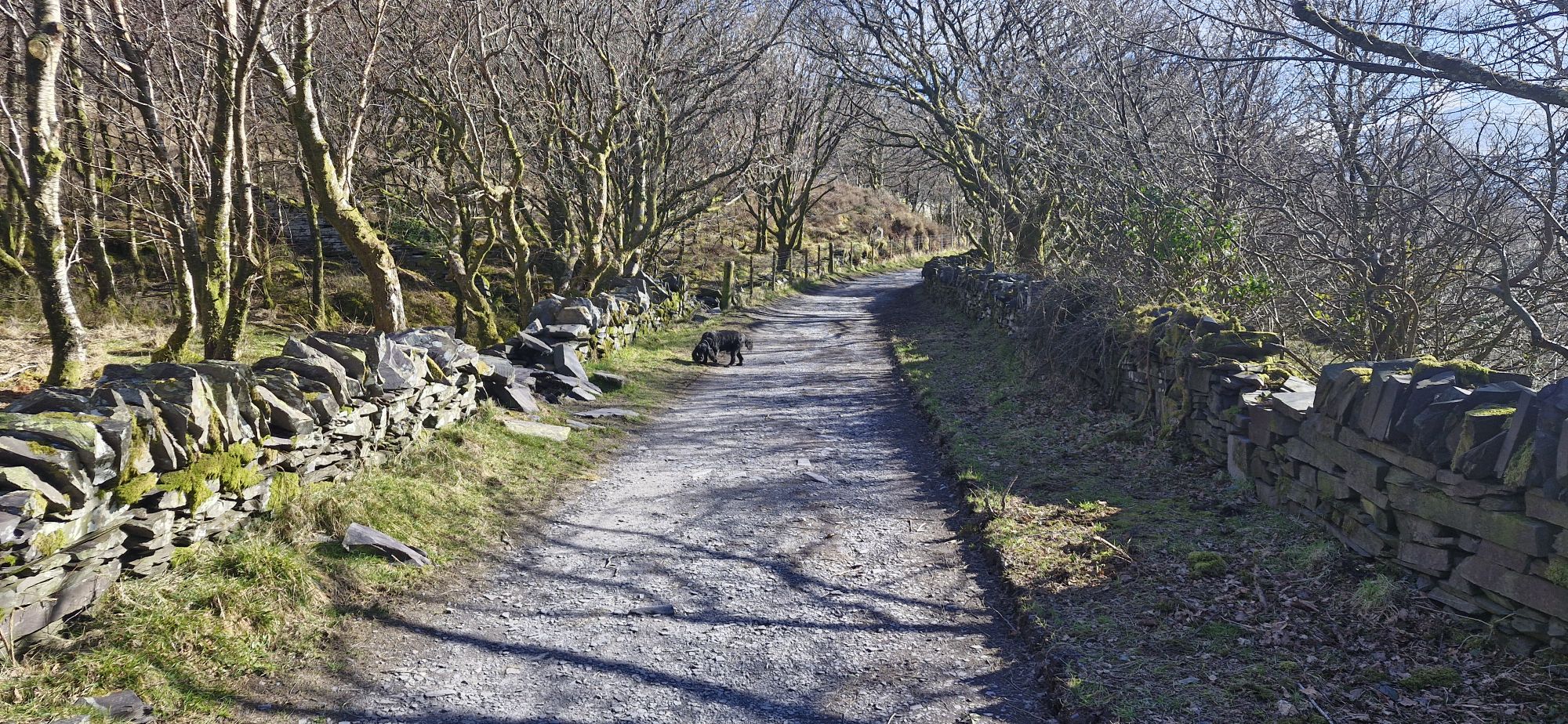 Dinorwig Quarry / Chwarel Dinorwig – Joe the Cocker's Hikes